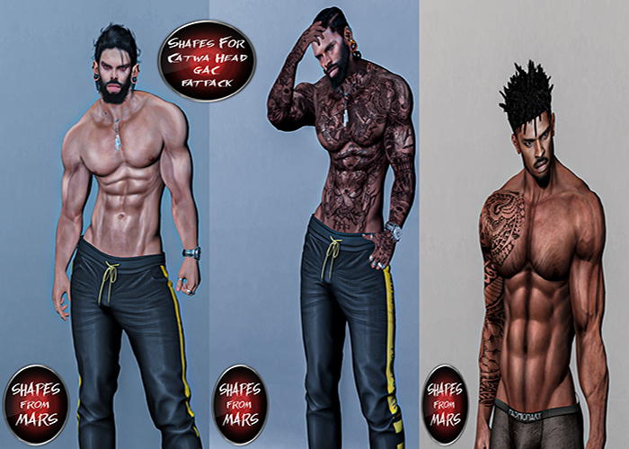 Second Life Marketplace - [SFM] Fatpack Male Shape ! Catwa Head Gac