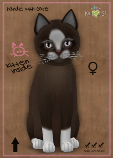 Second Life Marketplace - MEGAPUSS: KittyCatS Box - Chateau Cat ...