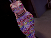 Second Life Marketplace - -SC- Kupra Baws Set - Graffiti