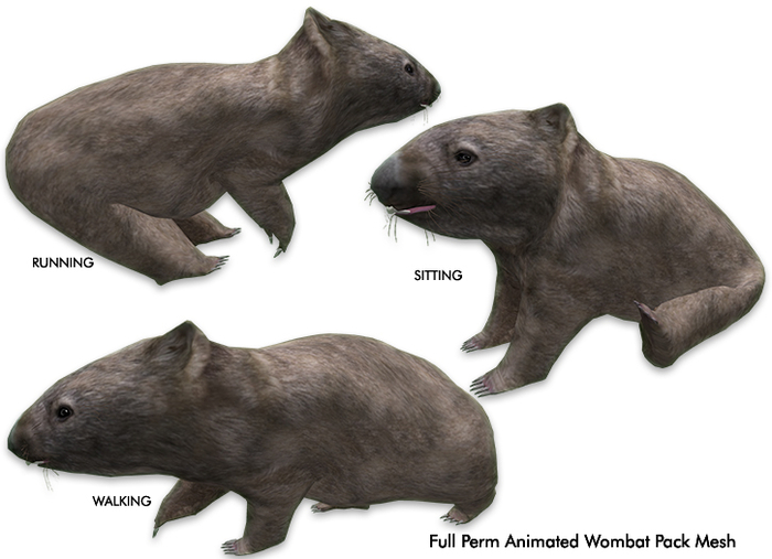 Second Life Marketplace - Full Perm Animated Wombat Pack Mesh