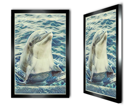 Second Life Marketplace - Poster - Dolphin