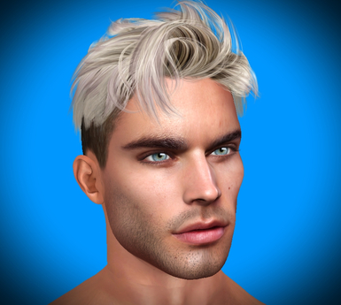Second Life Marketplace - SHAPE for Lelutka Guy Head and Signature ...