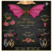 Second Life Marketplace - 01 [Glitzz] Draconia Wings - RARE