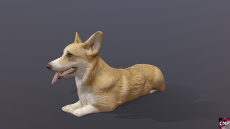 Second Life Marketplace - CMP - Corgi laying down