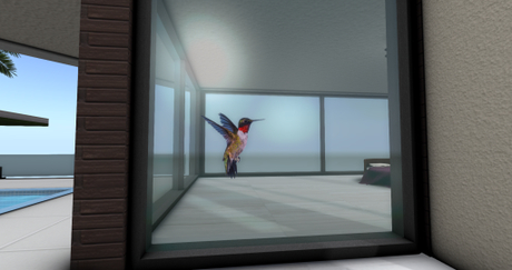 Second Life Marketplace - Bird window picture
