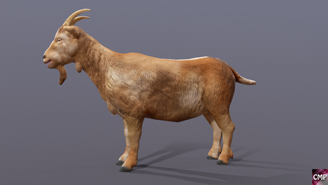 Second Life Marketplace - CMP - Goat Figurine
