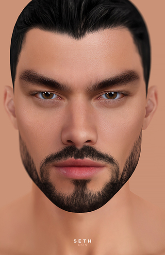 Second Life Marketplace - STRAY DOG - Seth Skin [LELUTKA] - TONE 03