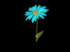 Second Life Marketplace - {Papillon} Plant Daisy-Lonely Small Normal ...