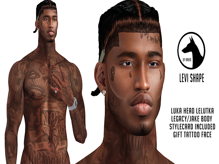 Second Life Marketplace - OF BREED: LEVI SHAPE ~ LUKA HEAD ~ LEGACY ...
