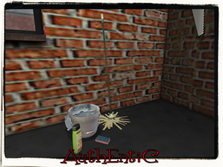 Second Life Marketplace - Cleaning Set *Used*