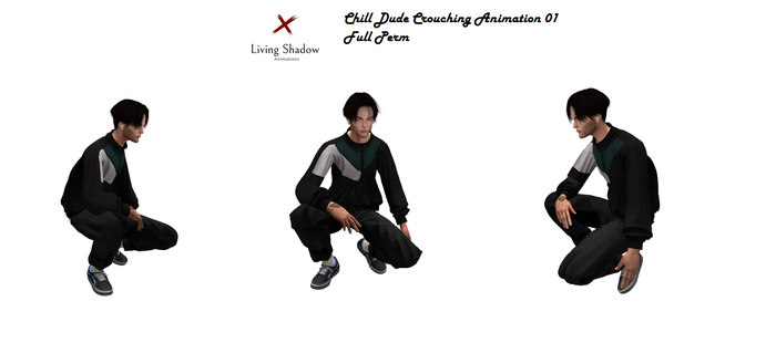 Second Life Marketplace - .:Living Shadow:. Chill Dude Crouching ...