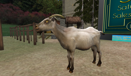Second Life Marketplace - Screaming Goat Delivery Box