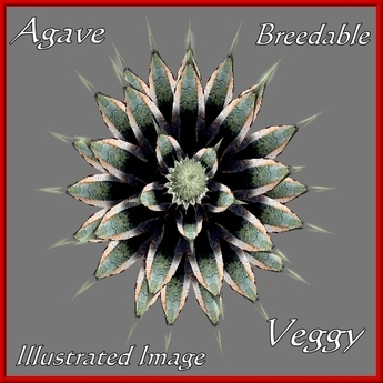 Second Life Marketplace - {Papillon} Lo/Col/Pal/AgA/+ Plant