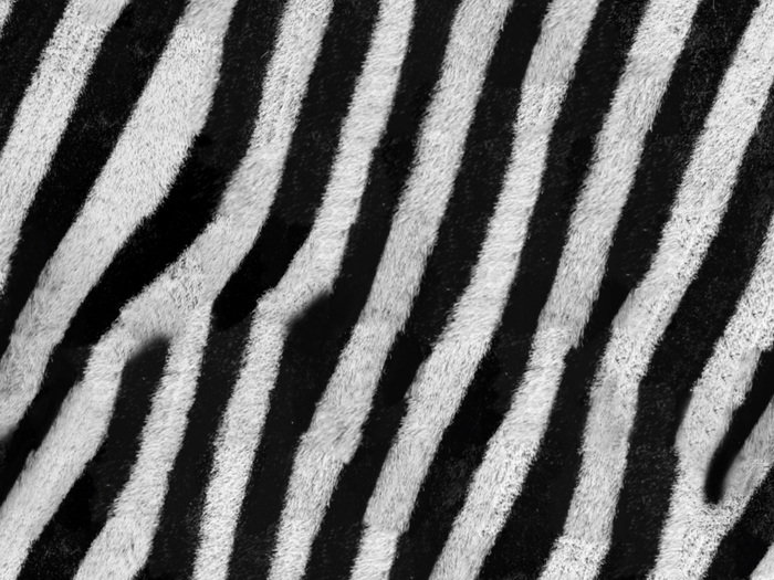 Second Life Marketplace - Gift Full Perm Seamless 3D Faux Zebra Skin ...