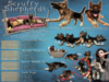 Second Life Marketplace - JIAN Scruffy Shepherds BOX 17. Held Pup ...