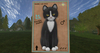 Second Life Marketplace - KittyCatS Box - New Born Kitten 2T