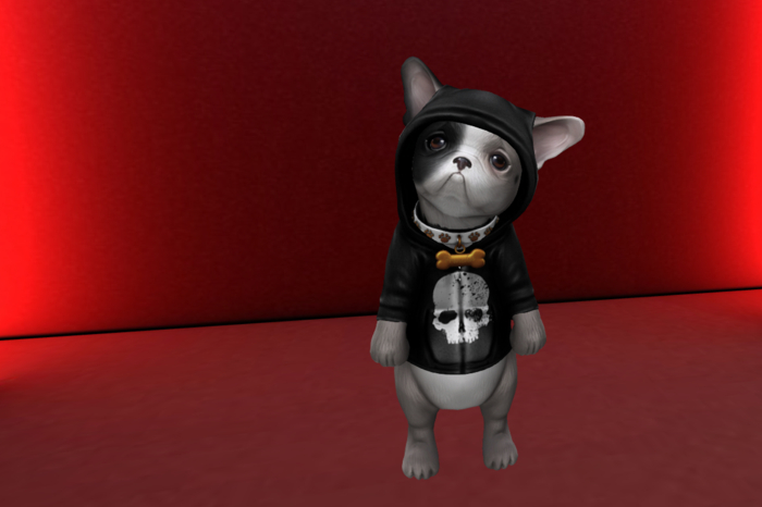 Second Life Marketplace - Dog wiht Hoodie Black