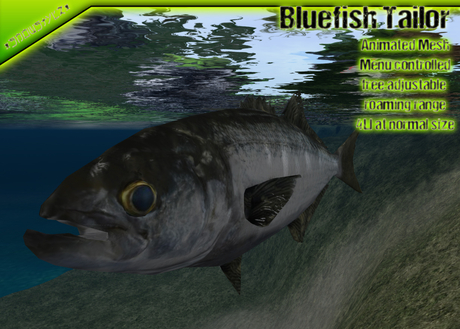 Second Life Marketplace - *SnoWStylZ* Tailor Bluefish animated mesh fish