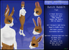 Second Life Marketplace - SKS Dutch Rabbit Tan