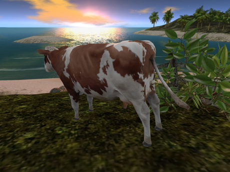 Second Life Marketplace - Cow