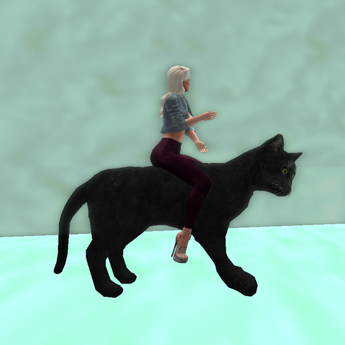 Second Life Marketplace - .:GBH:. Animesh Black rideable cat companion