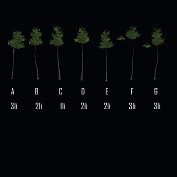 Second Life Marketplace - Konoha - Beech Forest (Fagus carla) -Elder ...