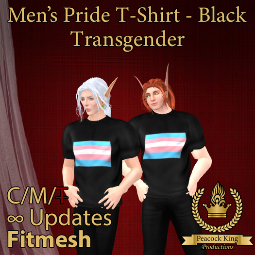 Second Life Marketplace - (PKP) Men's Pride T-Shirt - Black - Transgender
