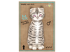 Second Life Marketplace - KittyCatS Box - 9 T - M - Toyger - Blue