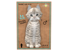 Second Life Marketplace - KittyCatS Box - 8T - M - Toyger - Snow