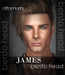 Second Life Marketplace - ::AbA:: *JAMES* -M- Head