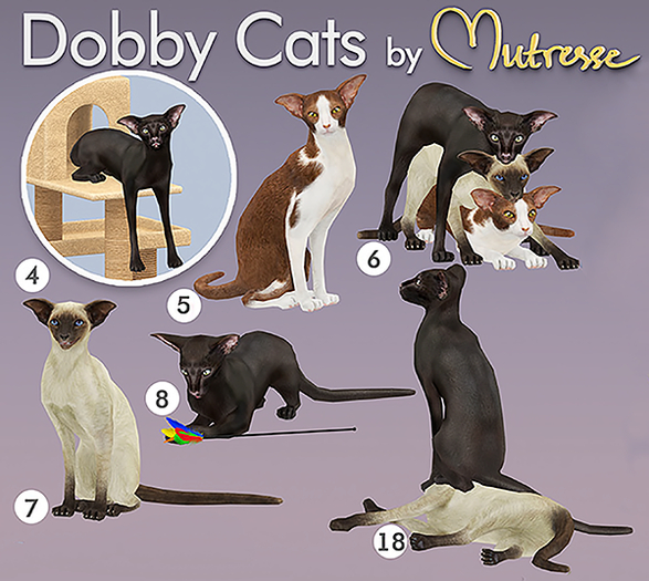 Second Life Marketplace - Mutresse - Dobby Cats - 5