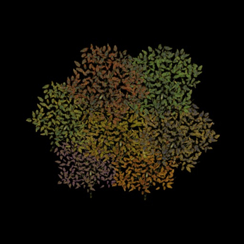 Second Life Marketplace - T-Spot Texture Pack - Handdrawn Branches 1 ...