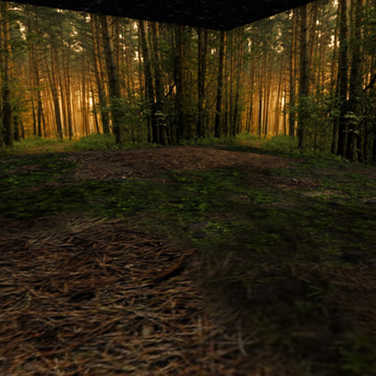 Second Life Marketplace - Forest Skybox (32x32)