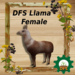 Second Life Marketplace - DFS Llama - Female