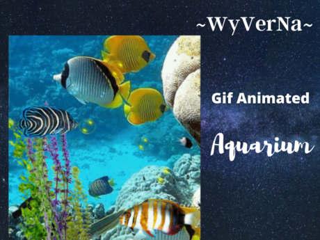 Second Life Marketplace - Gif Animated-Aquarium