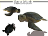 Second Life Marketplace - Zara Mesh - Animals - Sea Turtle Flatback ...