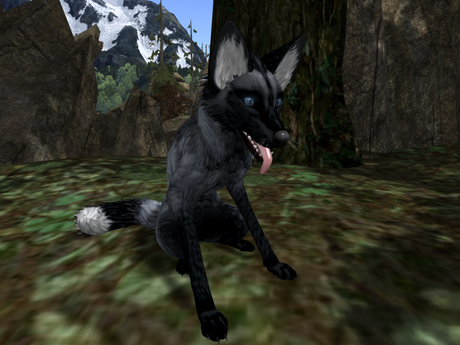 Second Life Marketplace - TWI Silver Fox Mod