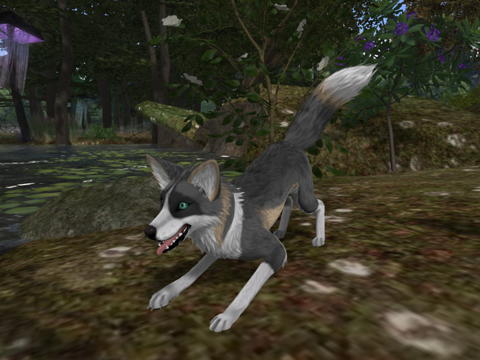 Second Life Marketplace - TWI Dilute Cross White Mark Fox Mod