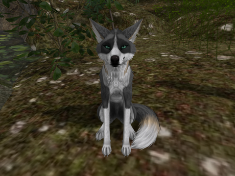Second Life Marketplace - TWI Dilute Cross White Mark Fox Mod