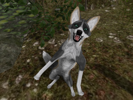 Second Life Marketplace - TWI Dilute Cross White Mark Fox Mod