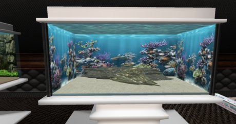 Second Life Marketplace - ***Dee Sign*** Fish Tank 4/99