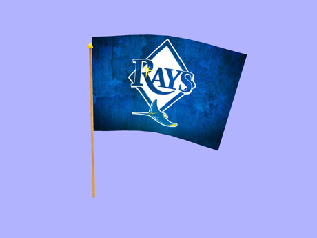 Second Life Marketplace - Team Flag-Baseball-Rays