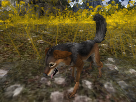 Second Life Marketplace - TWI Jackal Mod