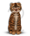 Second Life Marketplace - KittyCatS Box - 9T-M Toyger - Caramel ...