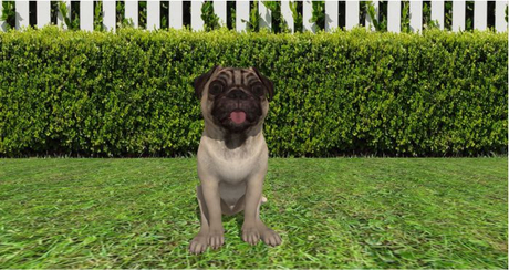 Second Life Marketplace - NS-Security,visitor manager-animated dog(Pug)
