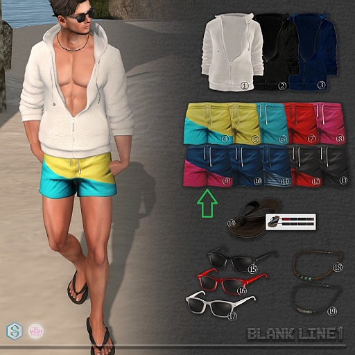 Second Life Marketplace - BlankLine Men's swimwear_TMP [NavyxPink]