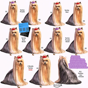 Second Life Marketplace - [Black Bantam] Best in Show Yorkie Purple ...
