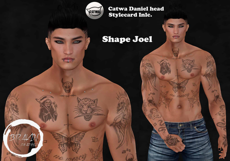 Second Life Marketplace - Bravin - Shape Joel Catwa Daniel