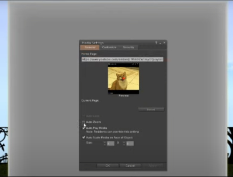 Second Life Marketplace - Media on a prim - how to