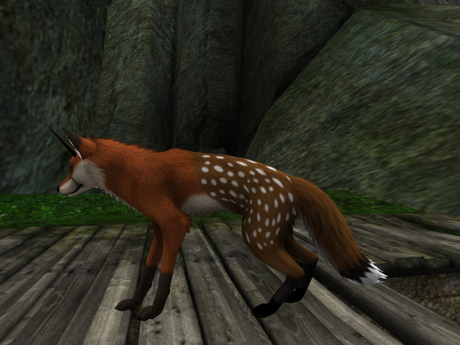 Second Life Marketplace - NM's Junk & Stuff DeerFox (BOXED)